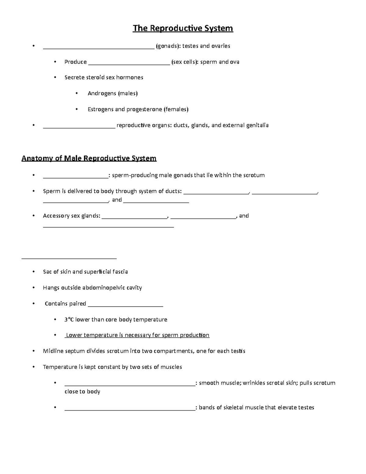 The Reproductive System-2 - The Reproductive System ...