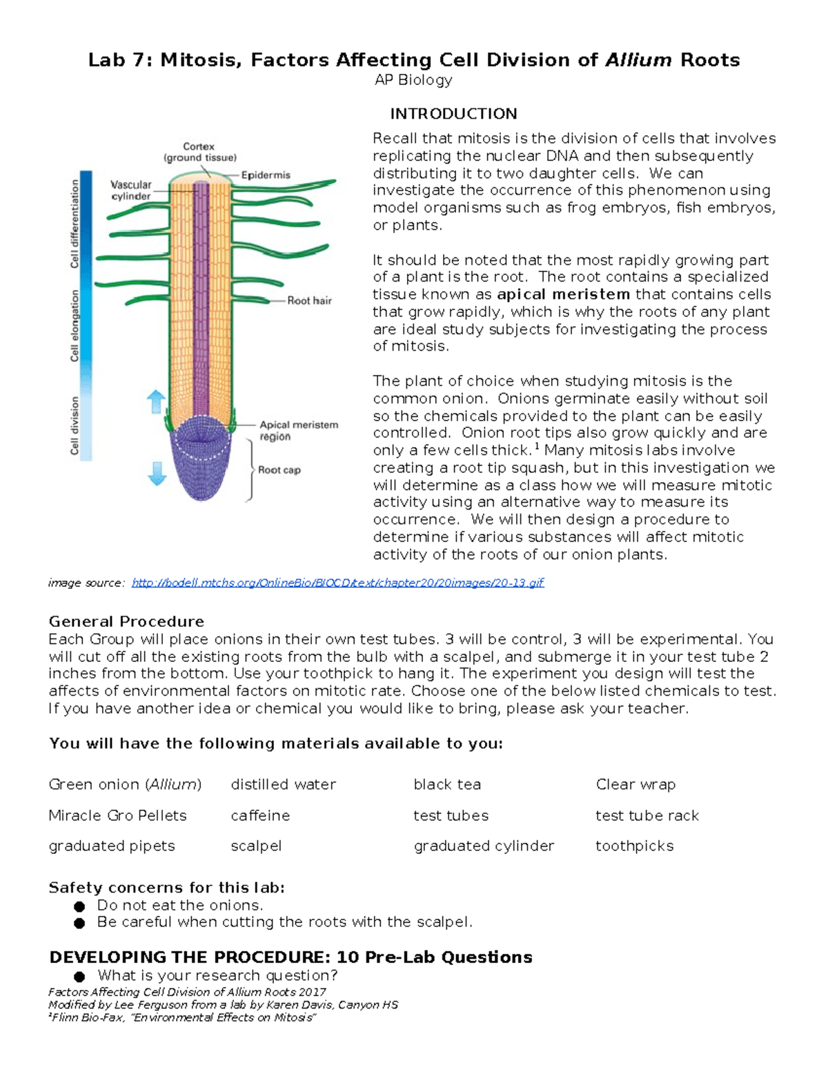 Mitosis Lab 7 Onion Root - Lab 7: Mitosis, Factors Affecting Cell ...