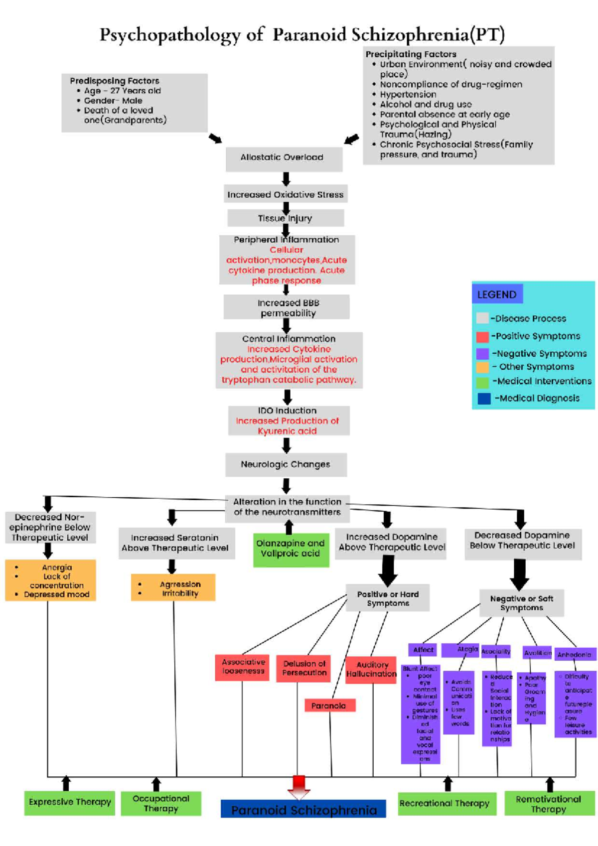 Psychopathology of Paranoid Schizophrenia - Medical Surgical Nursing ...