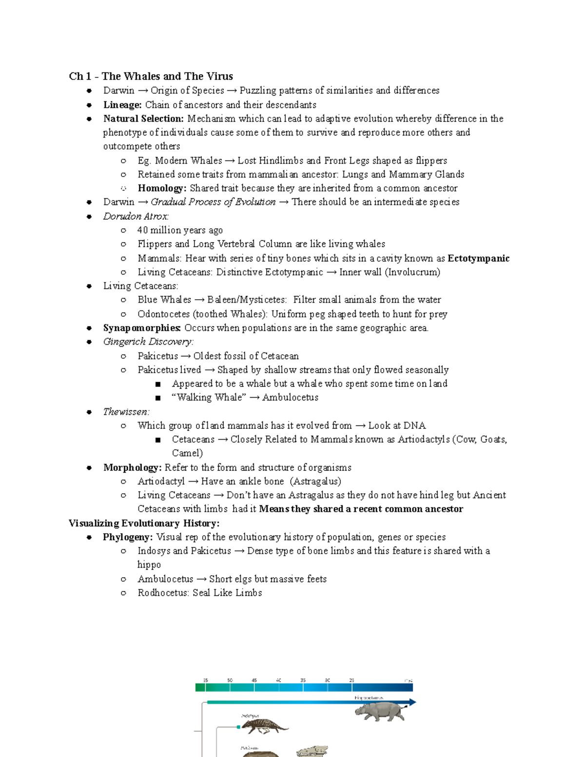 BIOB51 - Textbook Notes - Ch 1 - The Whales and The Virus Darwin → ...