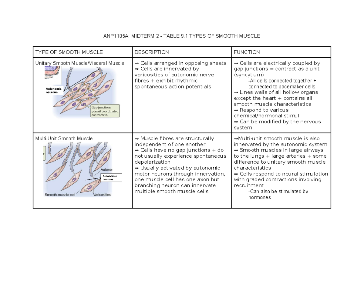 Table 9 - ANP1105A: MIDTERM 2 - TABLE 9 TYPES OF SMOOTH MUSCLE TYPE OF ...