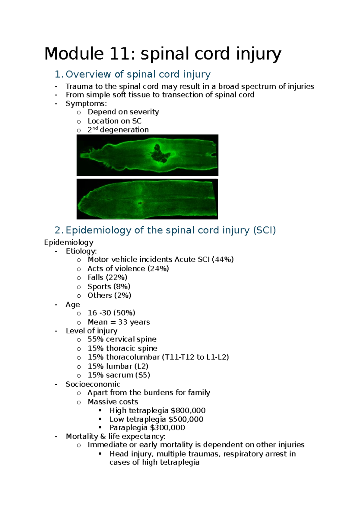 Module 11 Spinal Cord injury - Module 11: spinal cord injury 1 ...