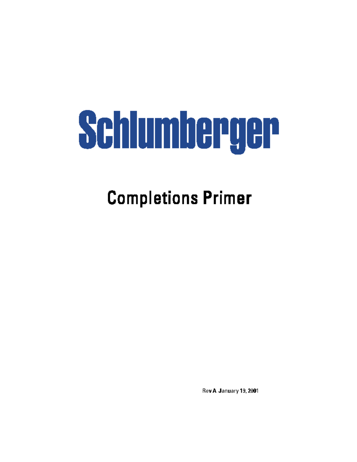 Completions Schlumberger - Completions PrimerCompletions ...