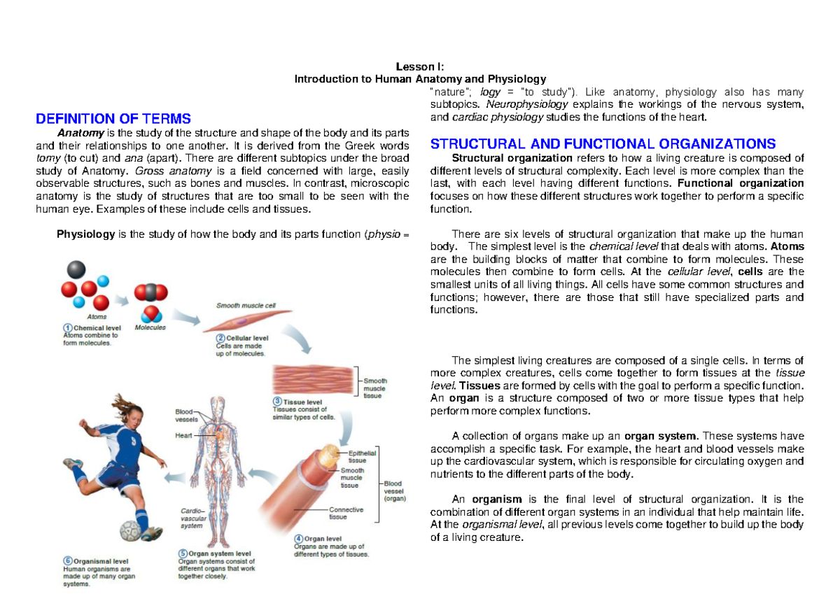 Introduction to Human Anatomy and Physiology - Lesson I: Introduction ...