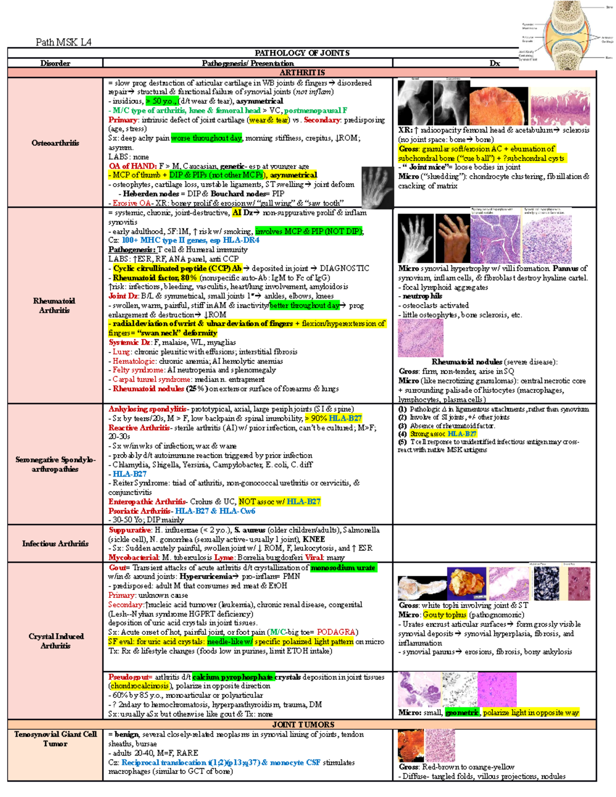 Path MSK L4 - Path MSK L4 study guide - Path MSK L PATHOLOGY OF JOINTS Disorder Pathogenesis ...