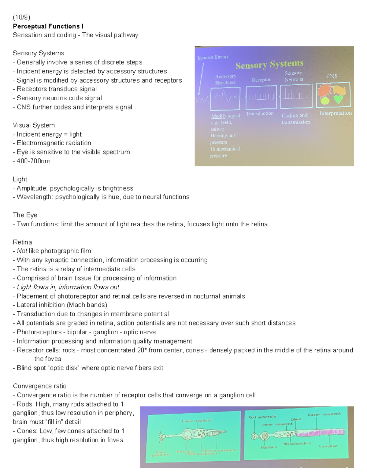 Exam 3 study guide outline - NSC 4359 - UT Dallas - Studocu