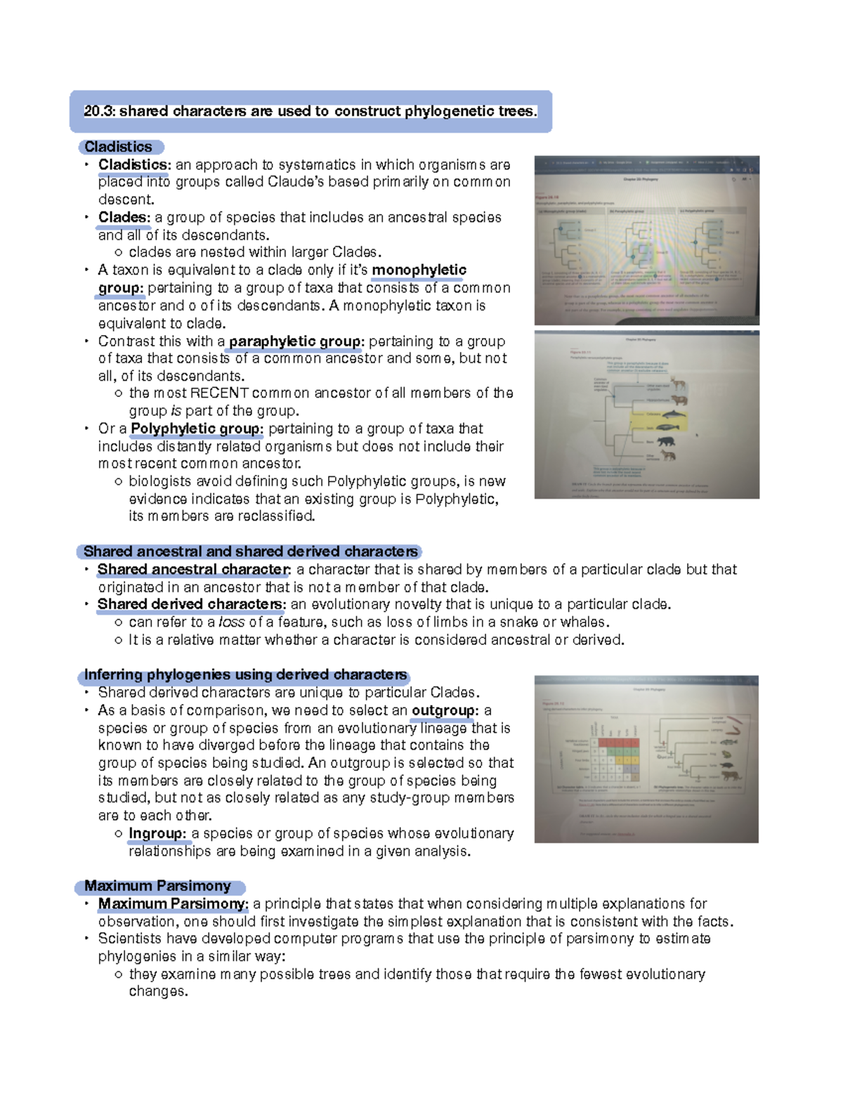 Phylogeny Ch. 20.3, 20 - 20: shared characters are used to construct phylogenetic trees ...
