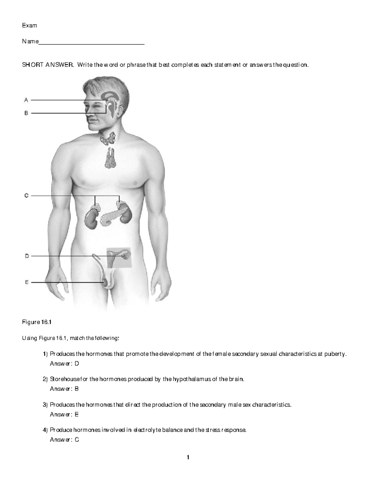 Chapter 16 - Exam Name___________________________________ SHORT ANSWER ...