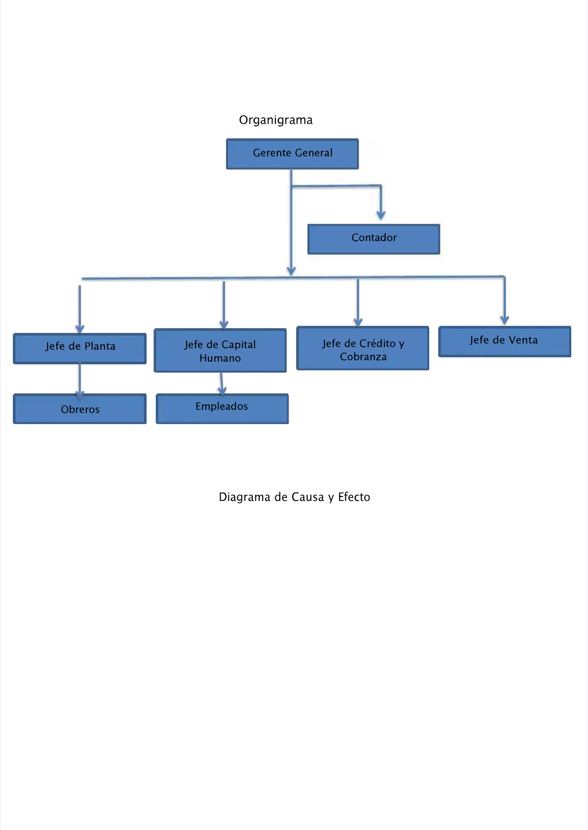EDY Apaza diagrama-de-causa-y-efecto - Gerente General Contador Jefe de ...