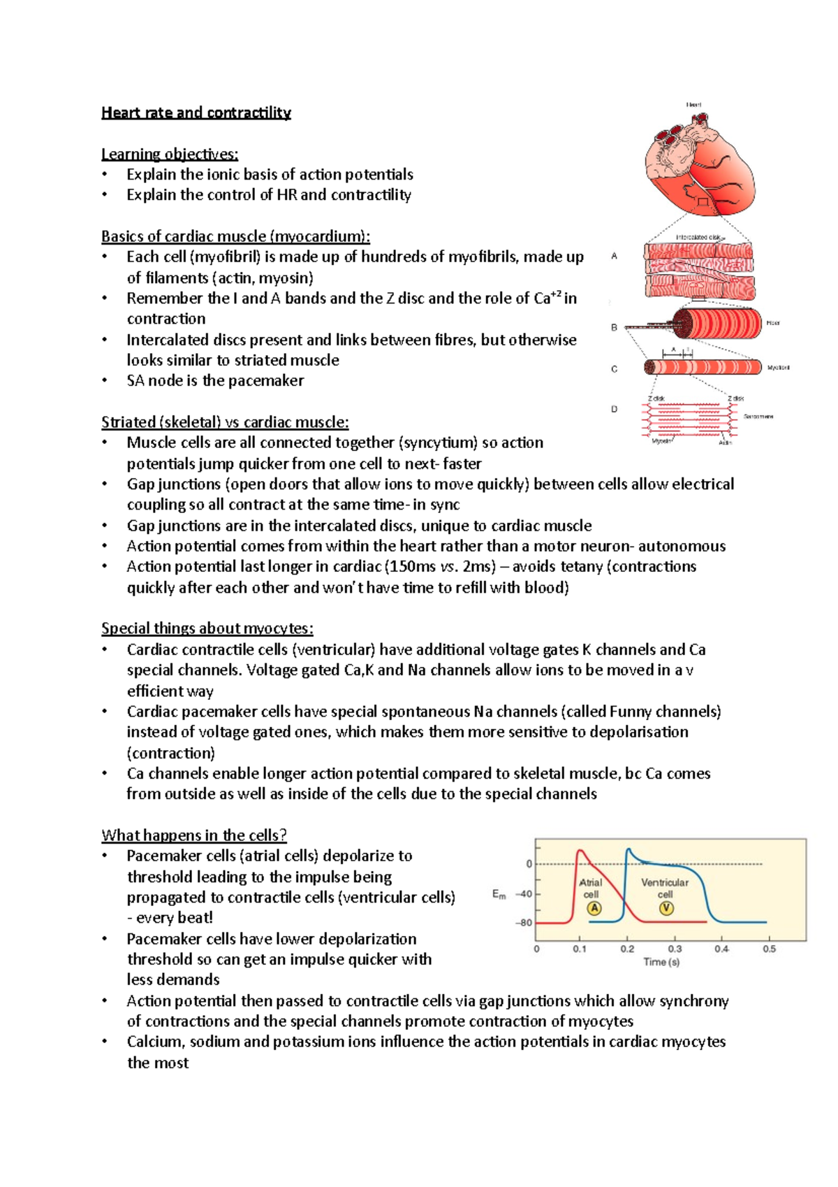 3- Heart rate and contractility - Heart rate and contractility Learning ...