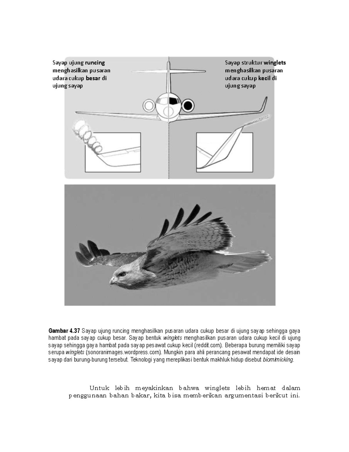 Catatan Fisika Dasar I (69) - Sayap ujung runcing menghasilkan pusaran ...