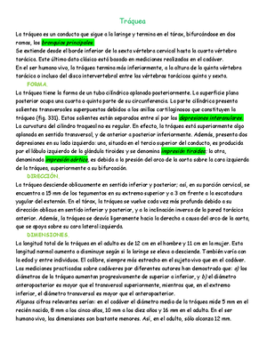 Boca y Faringe - Texto obtenido del Rouviere - CAVIDAD ORAL O BUCAL Es ...