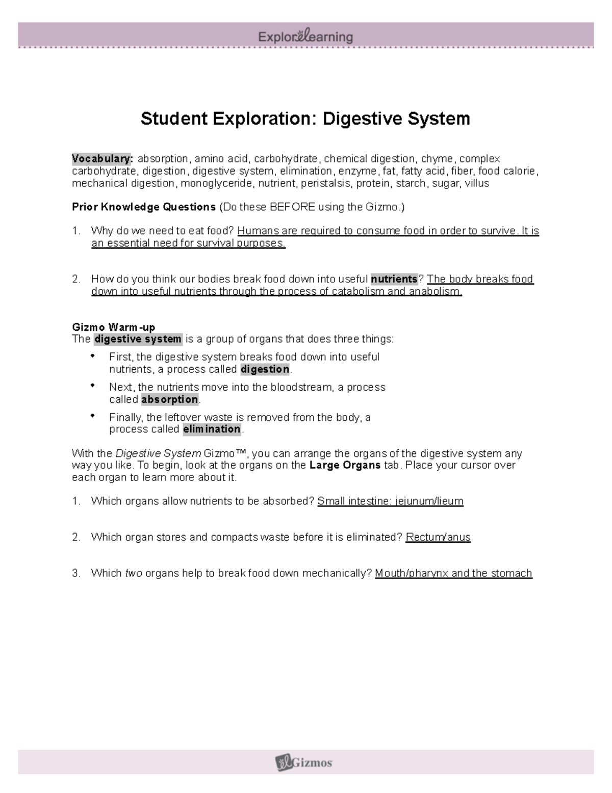 Digestive System Gizmo - ISA 522 - George Mason - Studocu