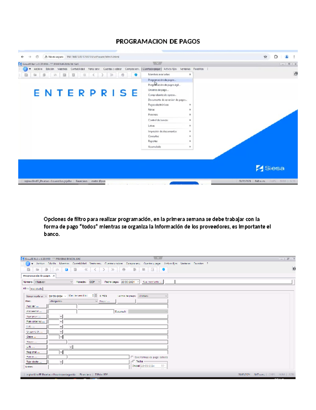 Programacion DE Pagos - PROGRAMACION DE PAGOS Opciones de filtro para ...