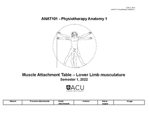 Lower Limb Attachment Table - ANAT101 Physiotherapy Anatomy 1 ANAT101 ...