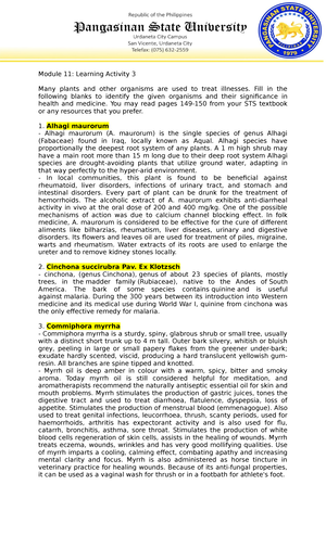 STS Learning Activity 1 Module 9_GE6 - Module 9: Learning Activity 1 ...