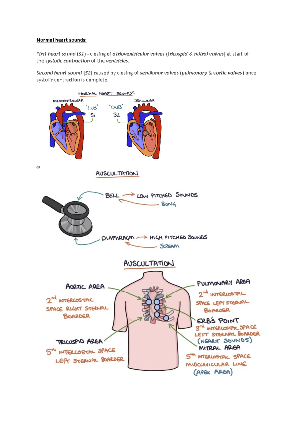 Murmurs - Normal heart sounds: First heart sound (S1) - closing of ...