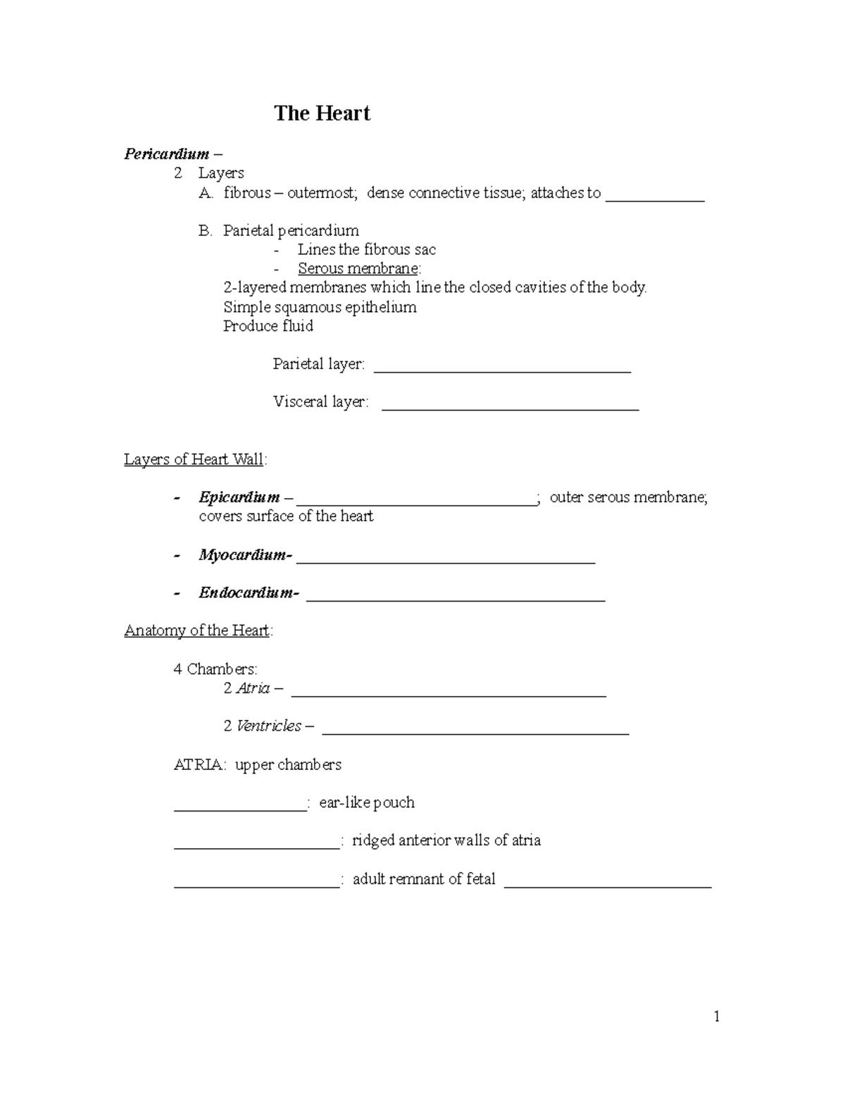 #2 cardio outline - The Heart Pericardium – 2 Layers A. fibrous ...