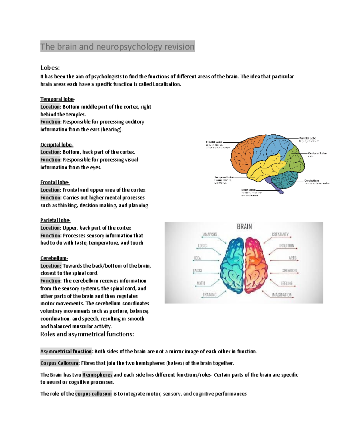 The brain and neuropsychology revision - The brain and neuropsychology ...