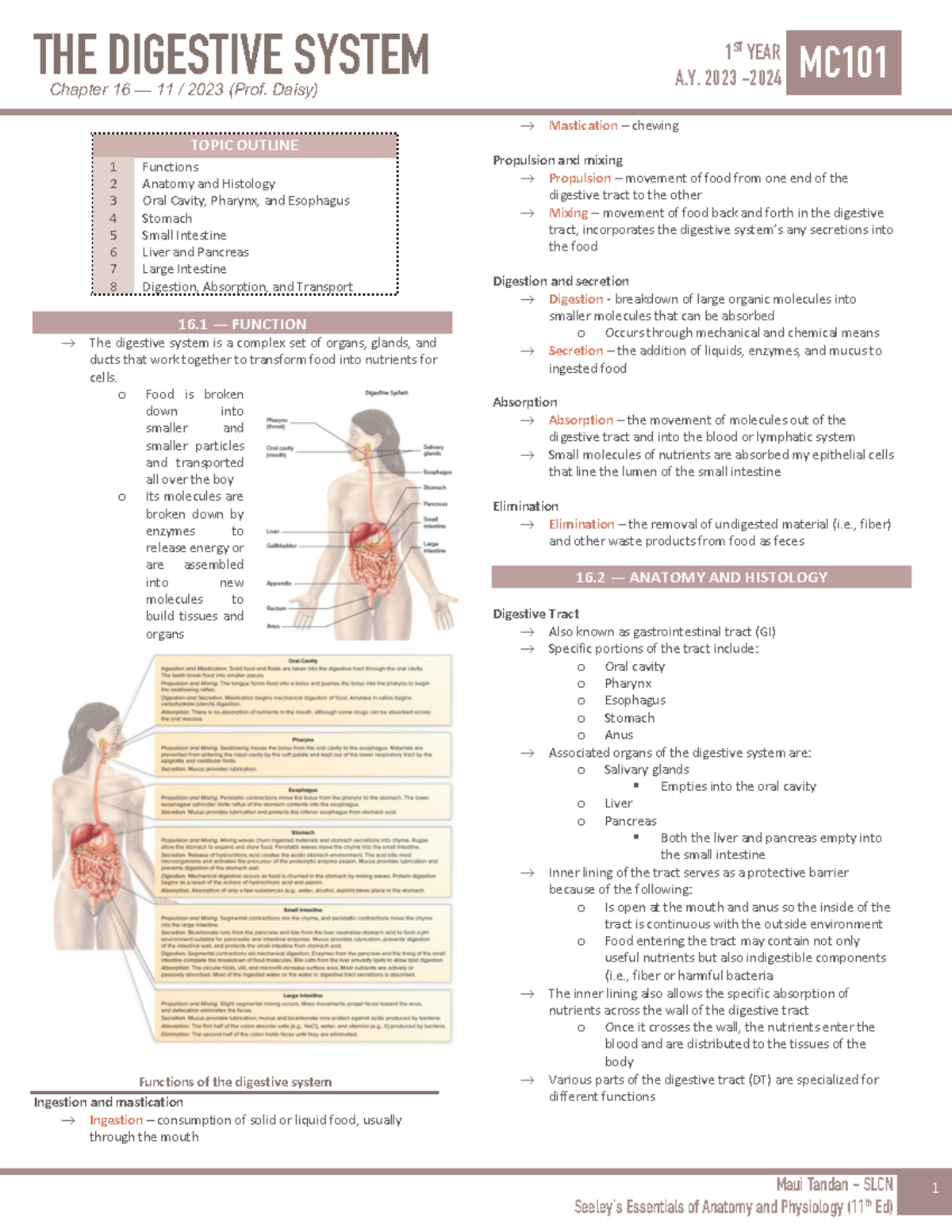[C16] Digestive System - THE DIGESTIVE SYSTEM 1 Chapter 16 — 11 / 2023 ...