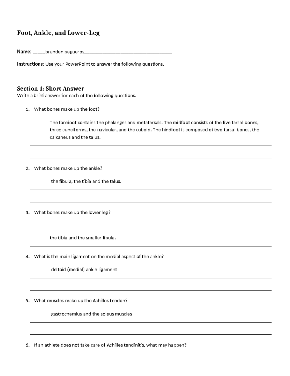 Foot, Ankle, Lower Leg worksheet and study guide - Foot, Ankle, and ...