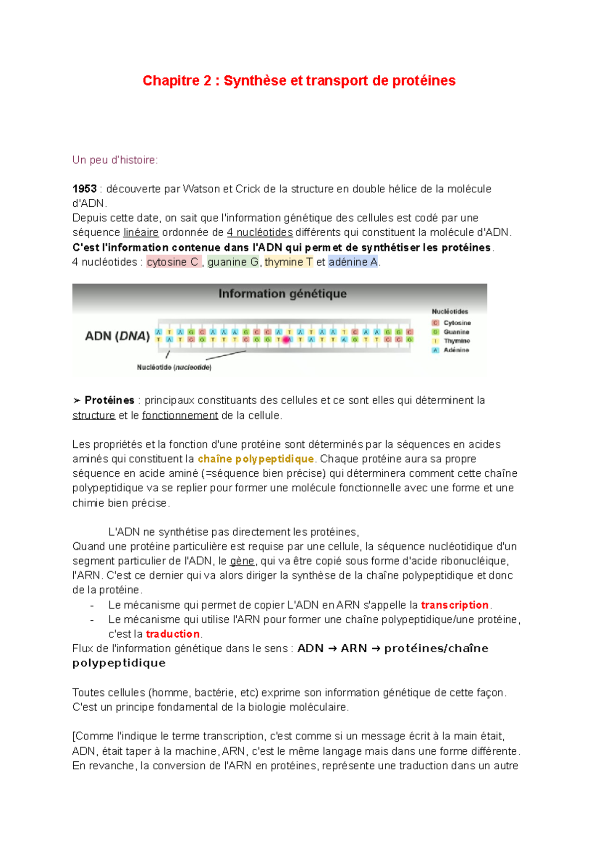 Chapitre 2 : Synthèse et transport de protéines - Depuis cette date, on ...