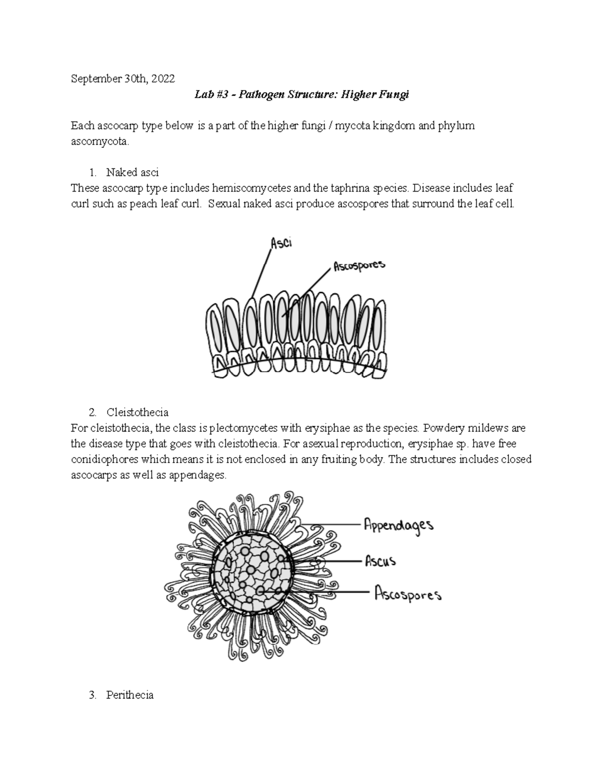 Lab #3 - Pathogen Structures Higher Fungi - September 30th, 2022 Lab #3 ...