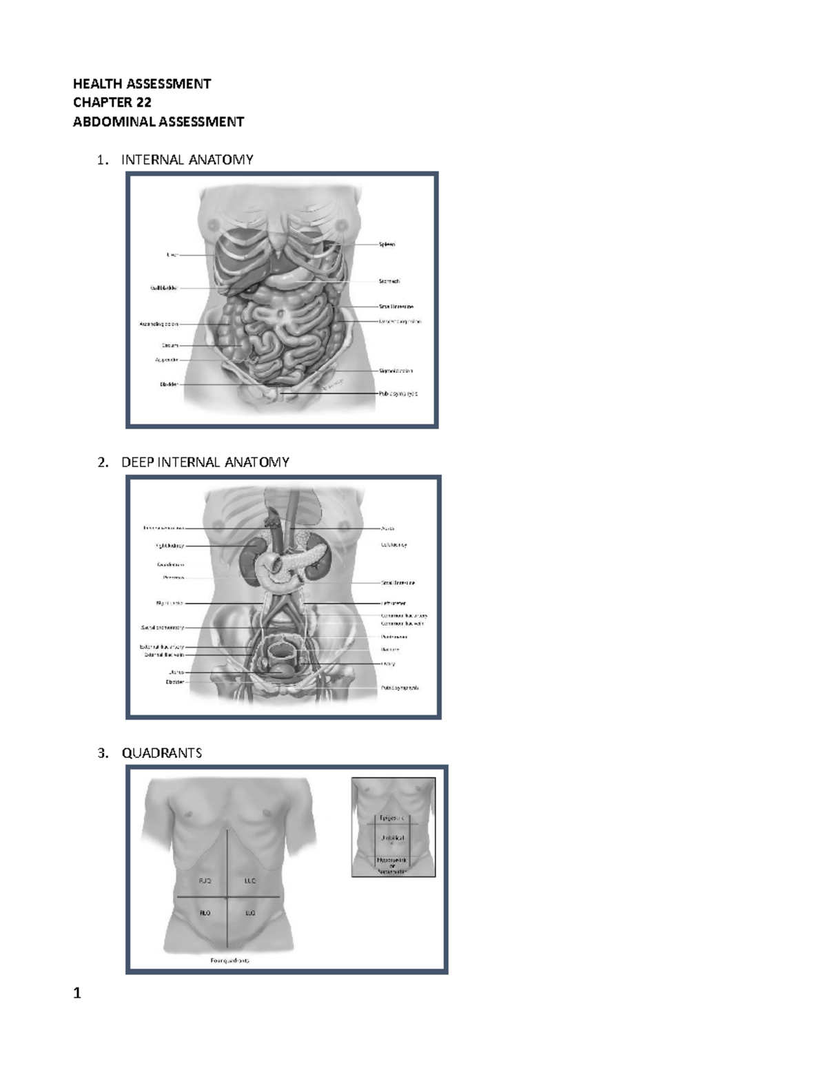 22 - Abdominal Assessment - BOR - HEALTH ASSESSMENT CHAPTER 22 ...