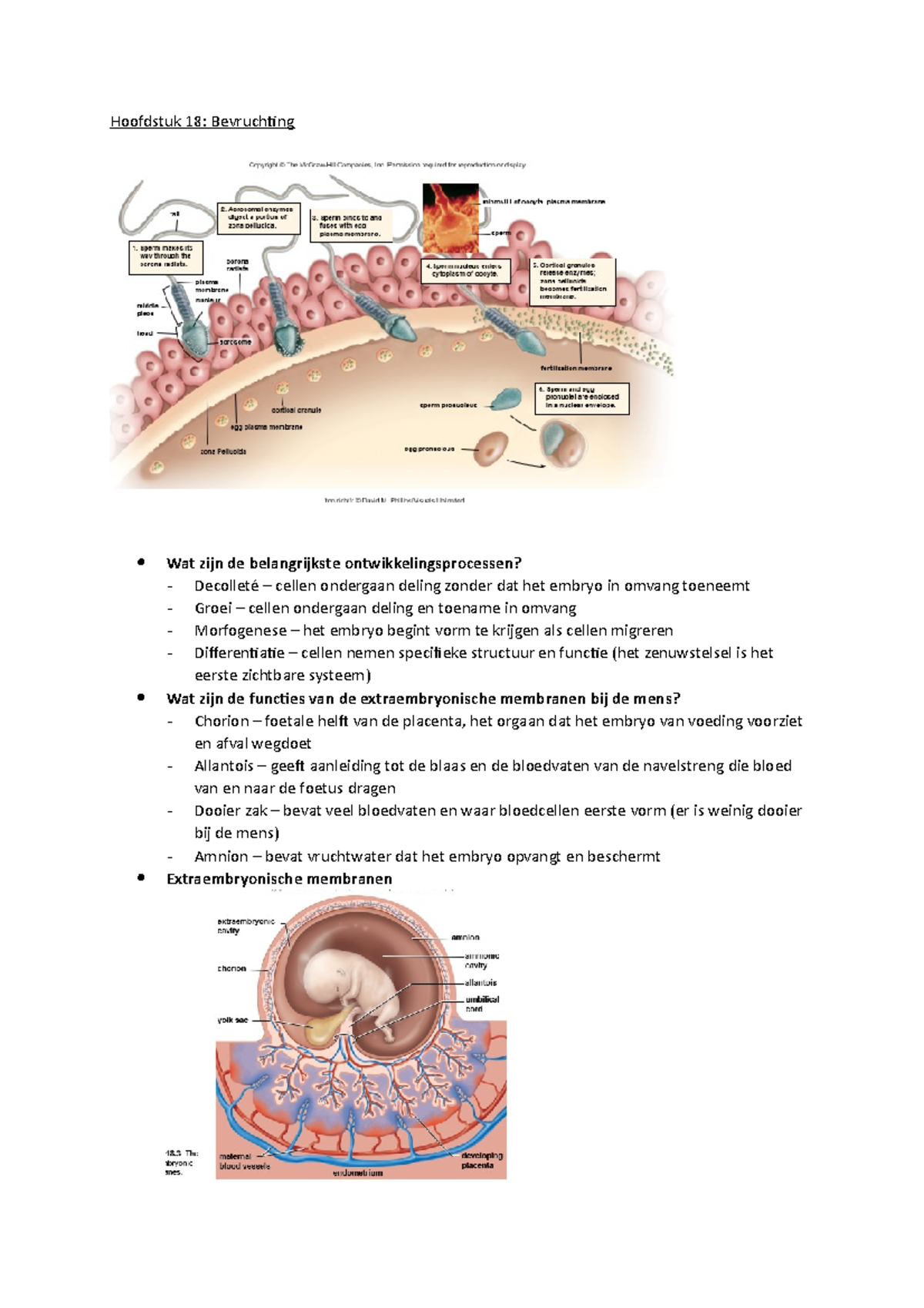 Hoofdstuk 18 bio Bevruchting - Hoofdstuk 18: Bevruchting Wat zijn de ...