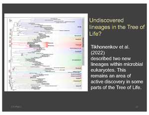 BIOL 336 Set up - knowledge translation - BIOL 336 Title: Authors ...