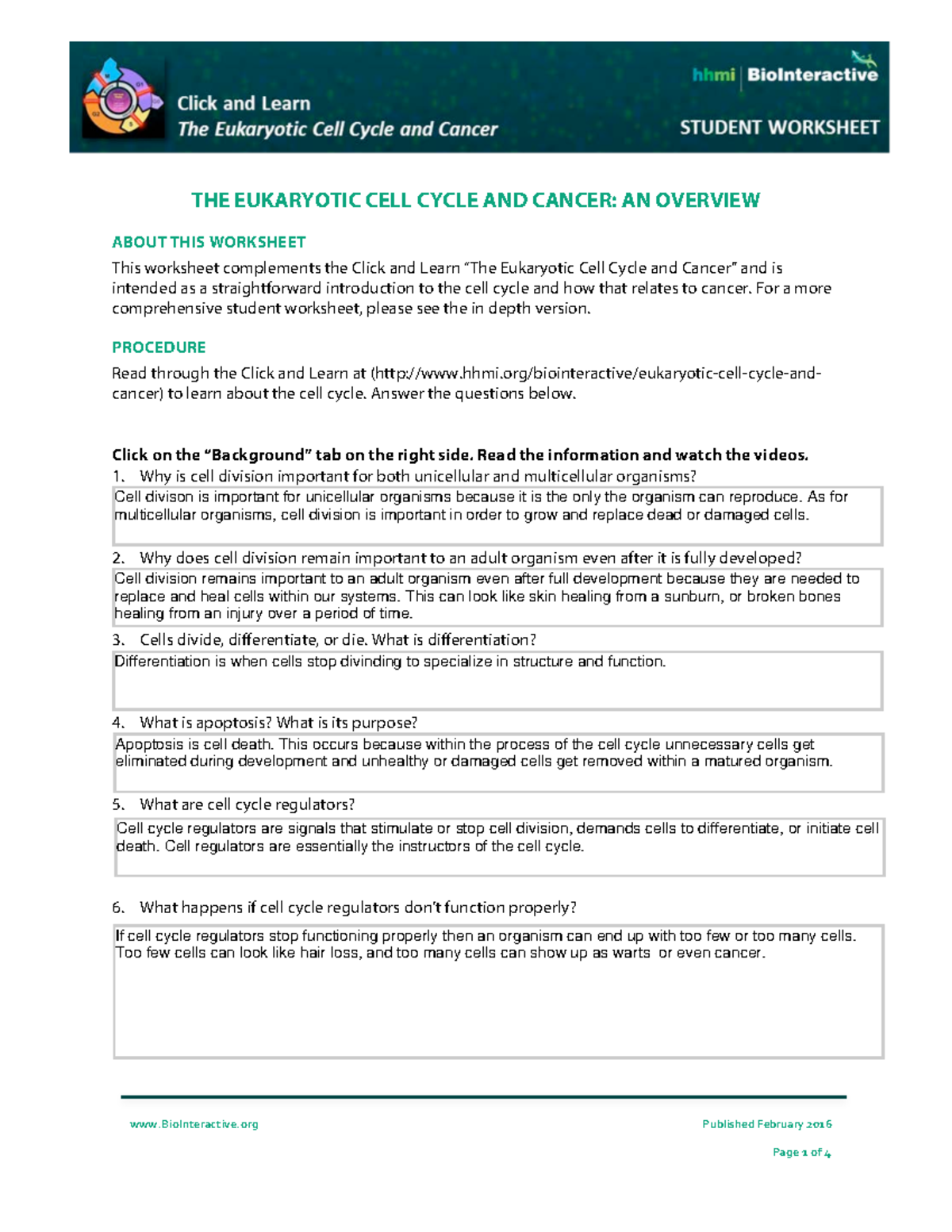 Cellcycle-Overview - Bio worksheet - BioInteractive Publ ished February ...
