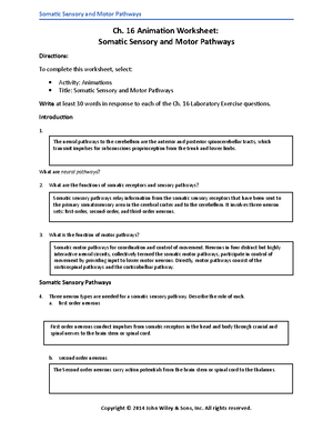 Bio291 ch.28 animation worksheet hormonal regulation female reproductive system Brooke Ogle ...