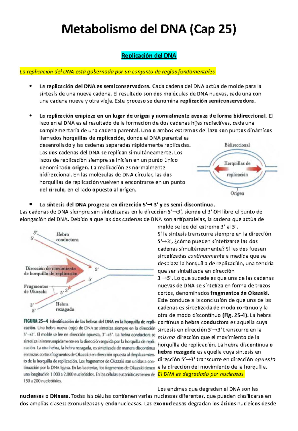 6. ADN y ARN - Summary Lehninger Principles of Biochemistry ...