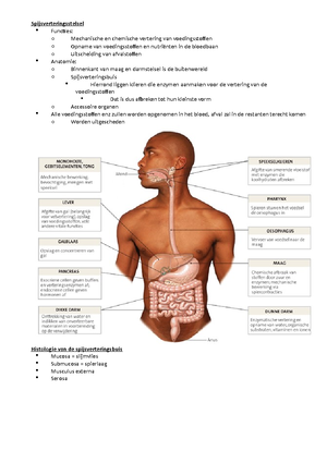 Longen - Anatomie: longen Pulmo dexter: rechterlong Pulmo sinister ...