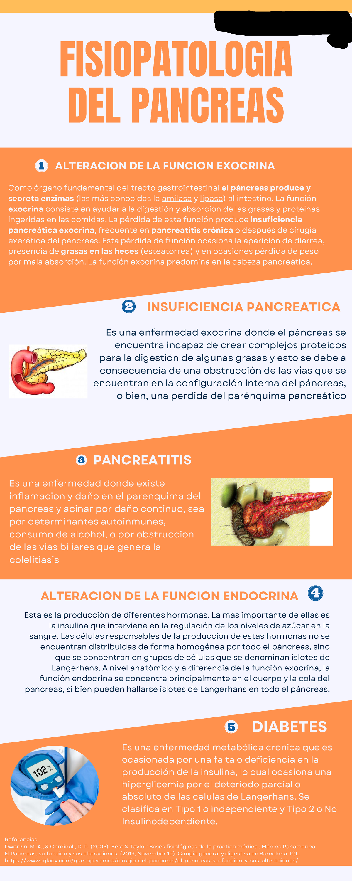 Fisiopatologia del pancreas 5 - FISIOPATOLOGIA DEL PANCREAS ...