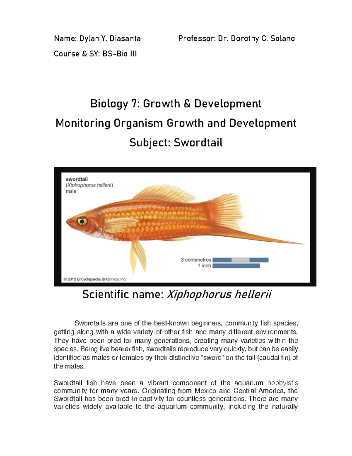 Bio-8 Animal Observation (Dylan Y. Diasanta) - Name: Dylan Y. Diasanta ...