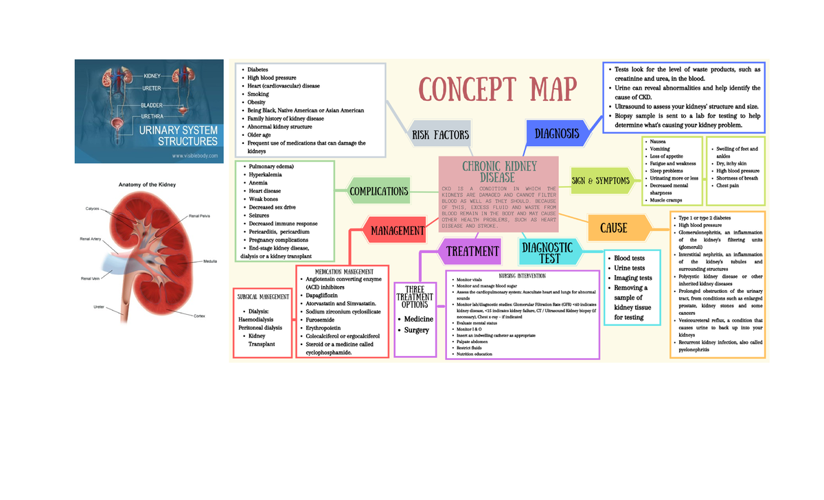 Chronic Kidney Disease - S STUDY OF ILLNESS CONDITION ASSESSMENT ...