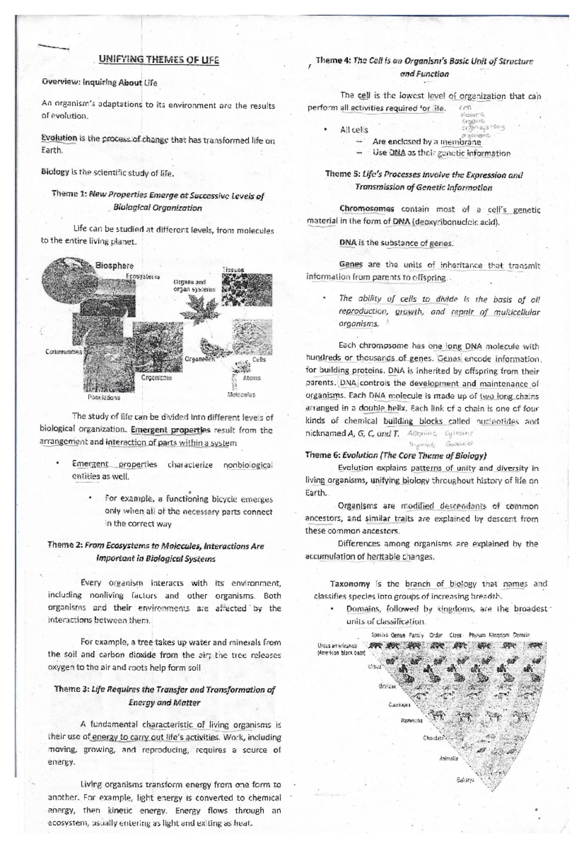 Biological Origin - BS Biology - Studocu