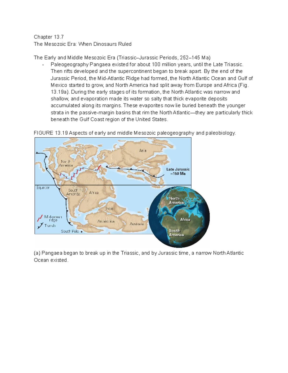Chapter 13 - Prof Casale - Chapter 13. The Mesozoic Era: When Dinosaurs ...