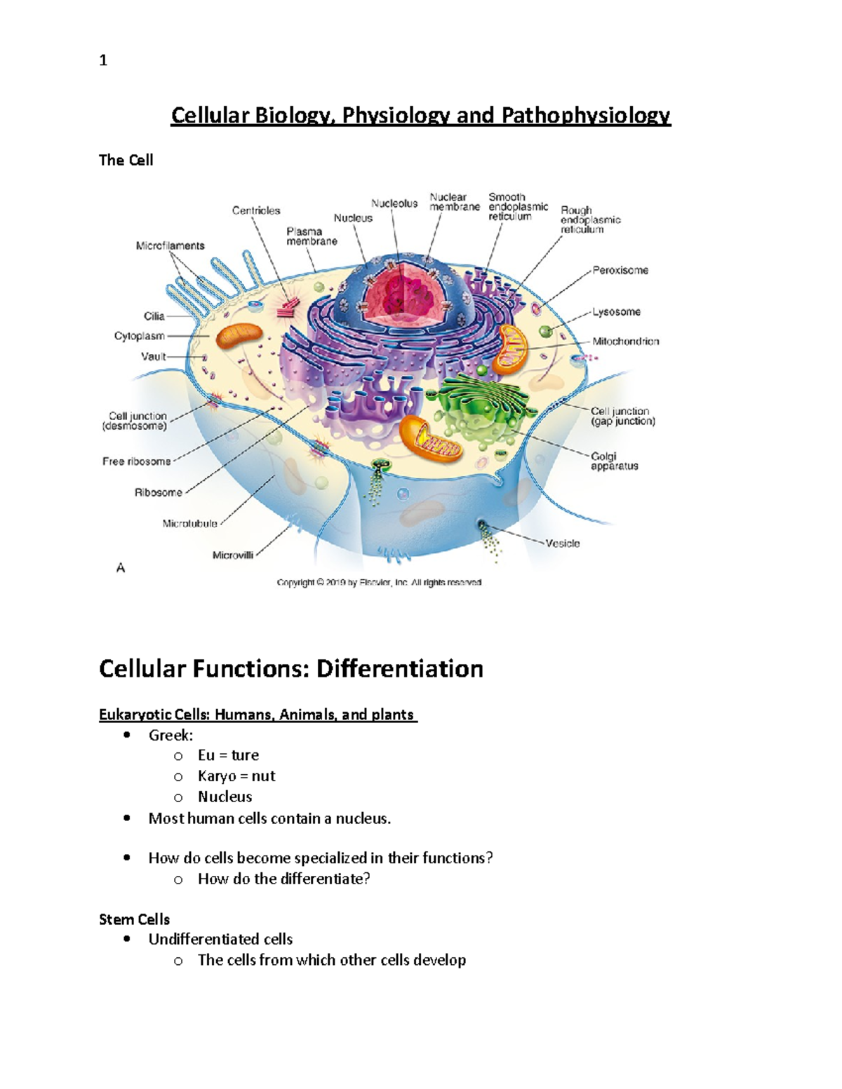 Cellular Biology write out ppt 1 - Cellular Biology, Physiology and Pathophysiology The Cell ...