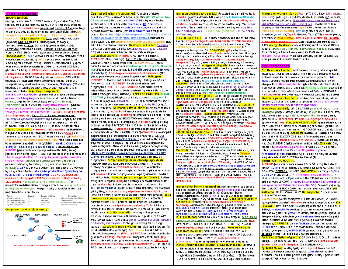 BIO EXAM Summary Sheet - Topics: Blood and Immune, Cell Processes ...