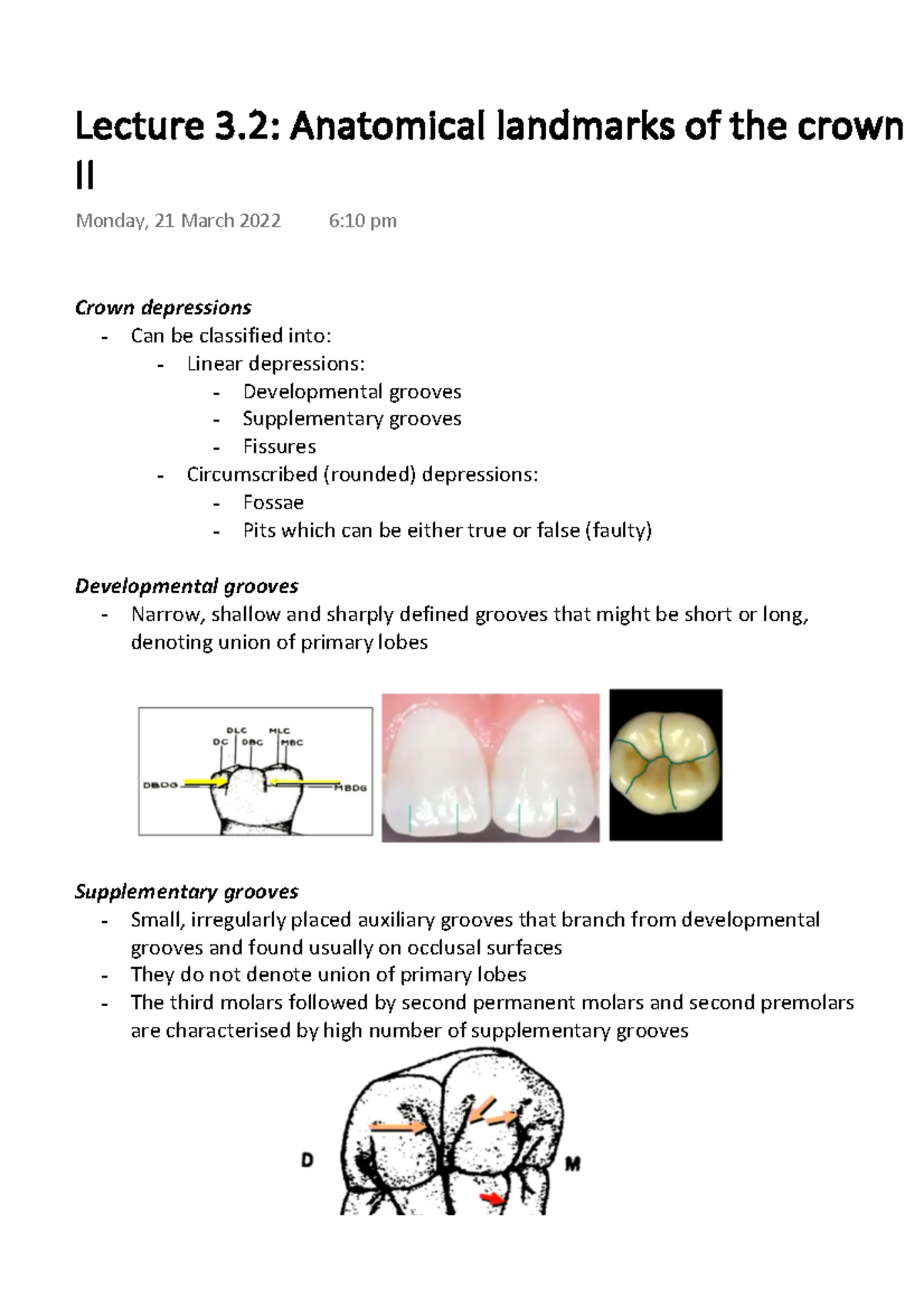 Lecture 3.2 Anatomical landmarks of the crown II - Crown depressions ...
