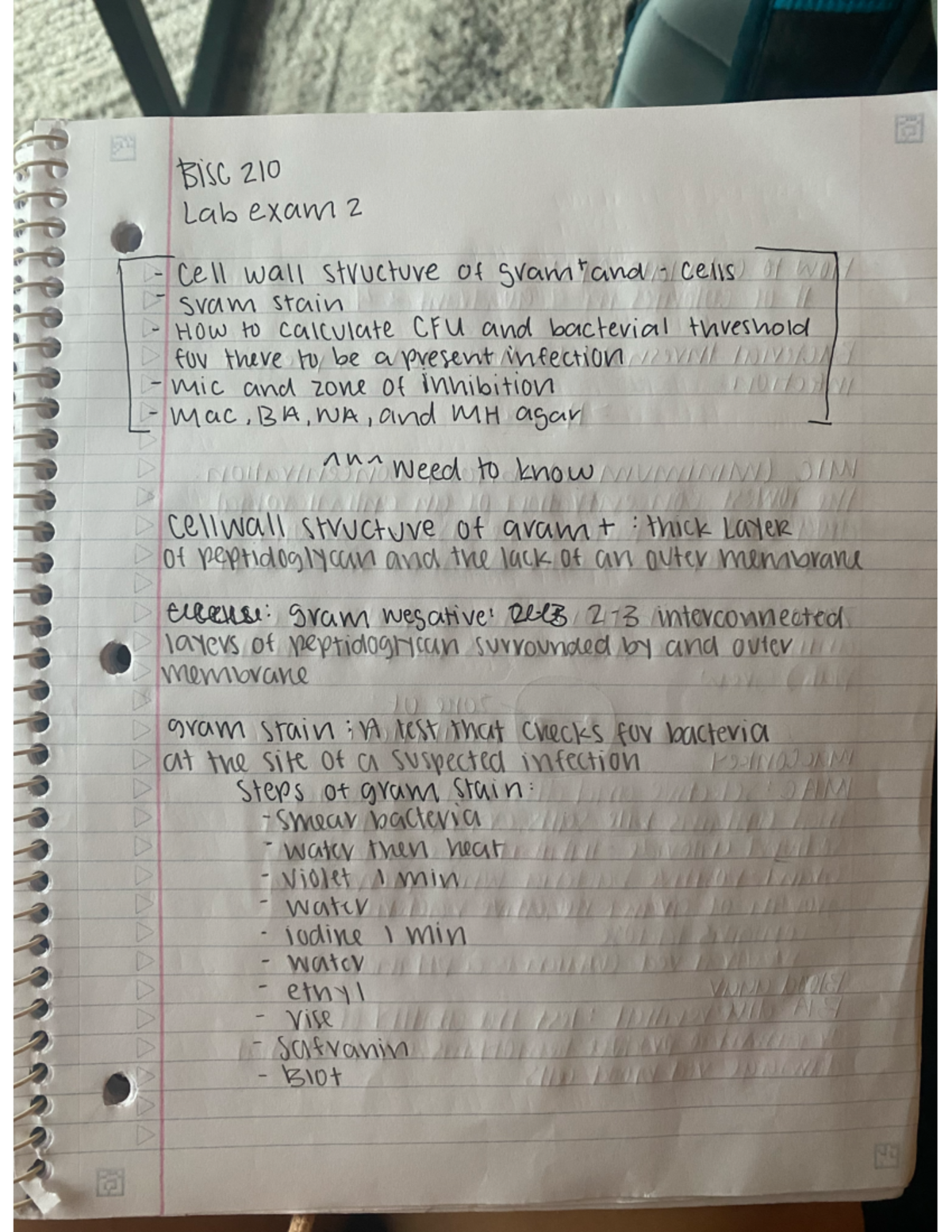 Bisc 210 lab exam 2 Pg 1 - Cell wall structure of gram positive and ...