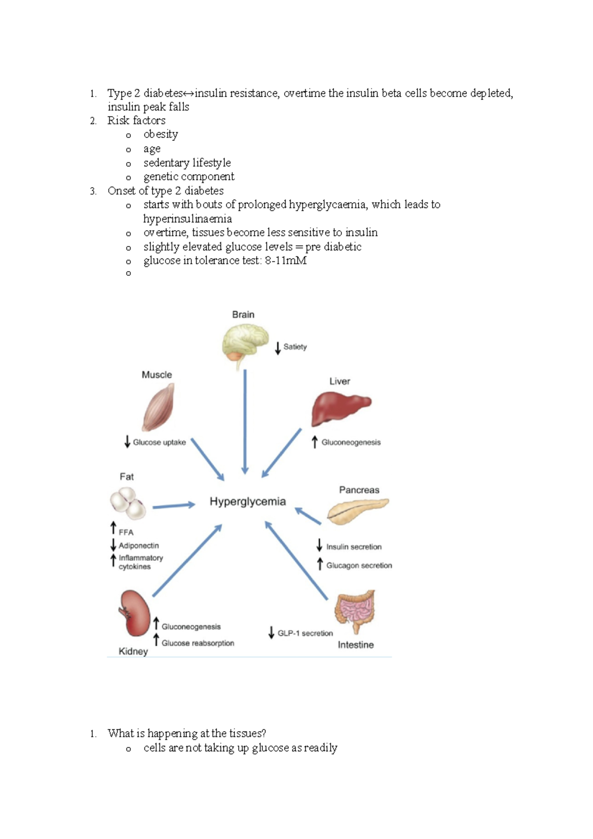 Type 2 diabetes - Exam prep questions - 1. Type 2 diabetes↔insulin ...