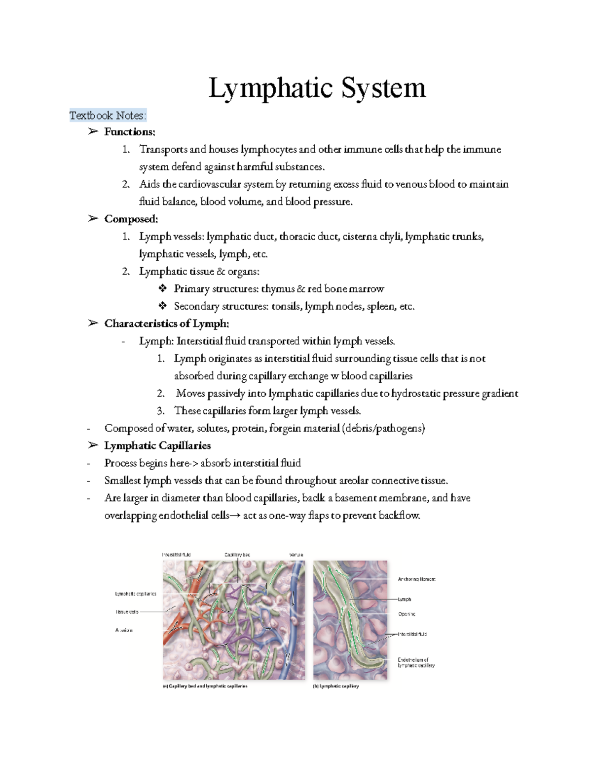 Lymphatic System - Lymphatic System Textbook Notes: Functions: 1 ...