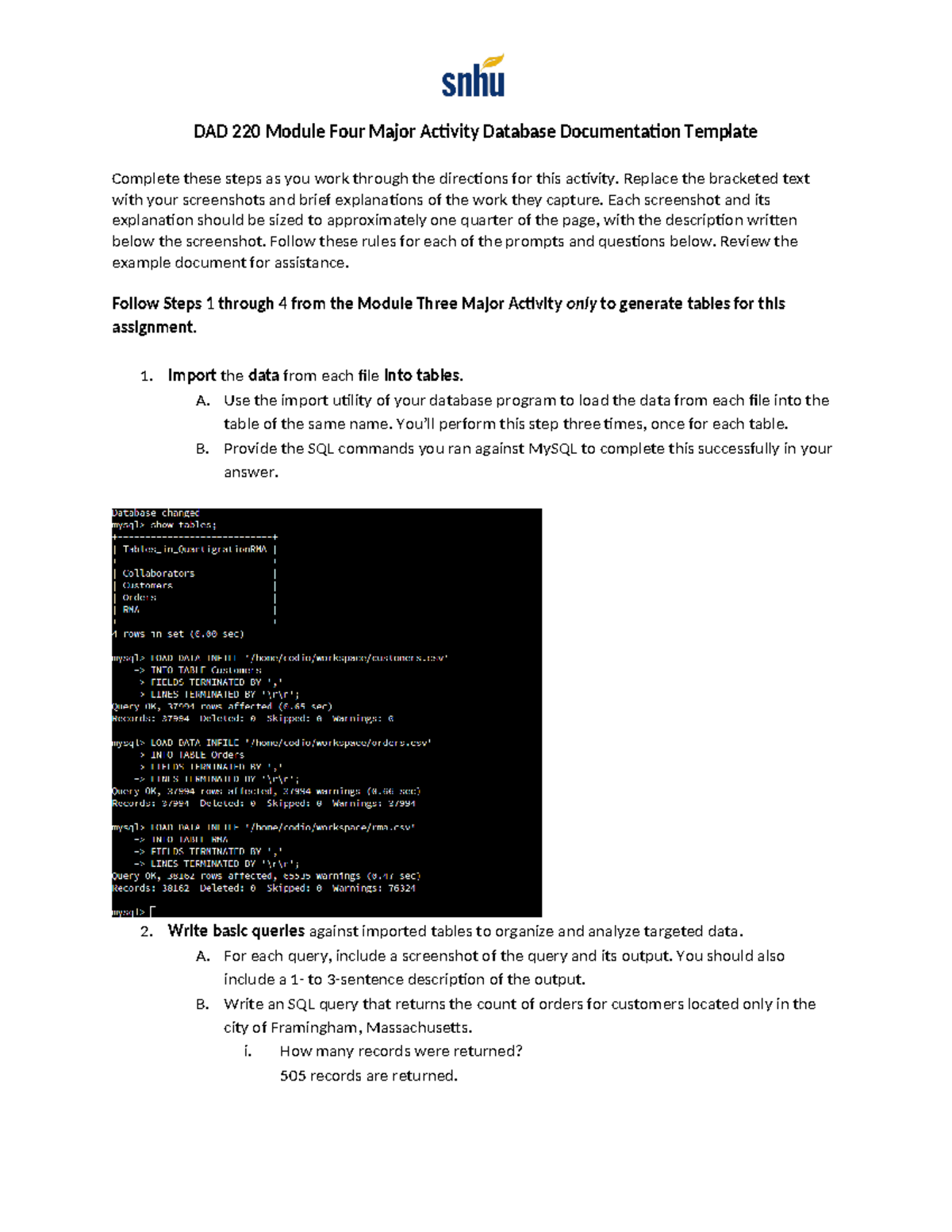 Dad 220 Module Four Major Activity Database Documentation Template Replace The Bracketed Text