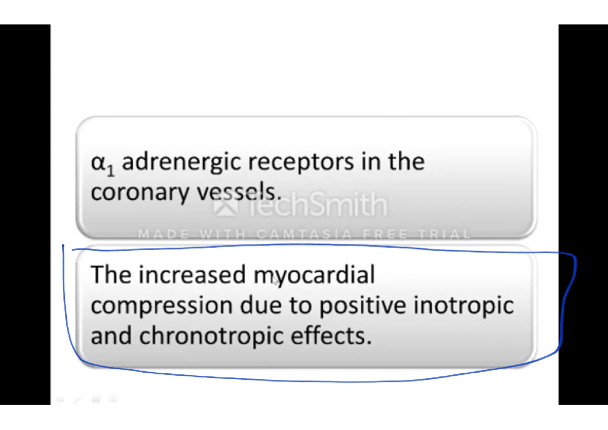 Coronary circulation additions CVS physiology - General pathology - Studocu