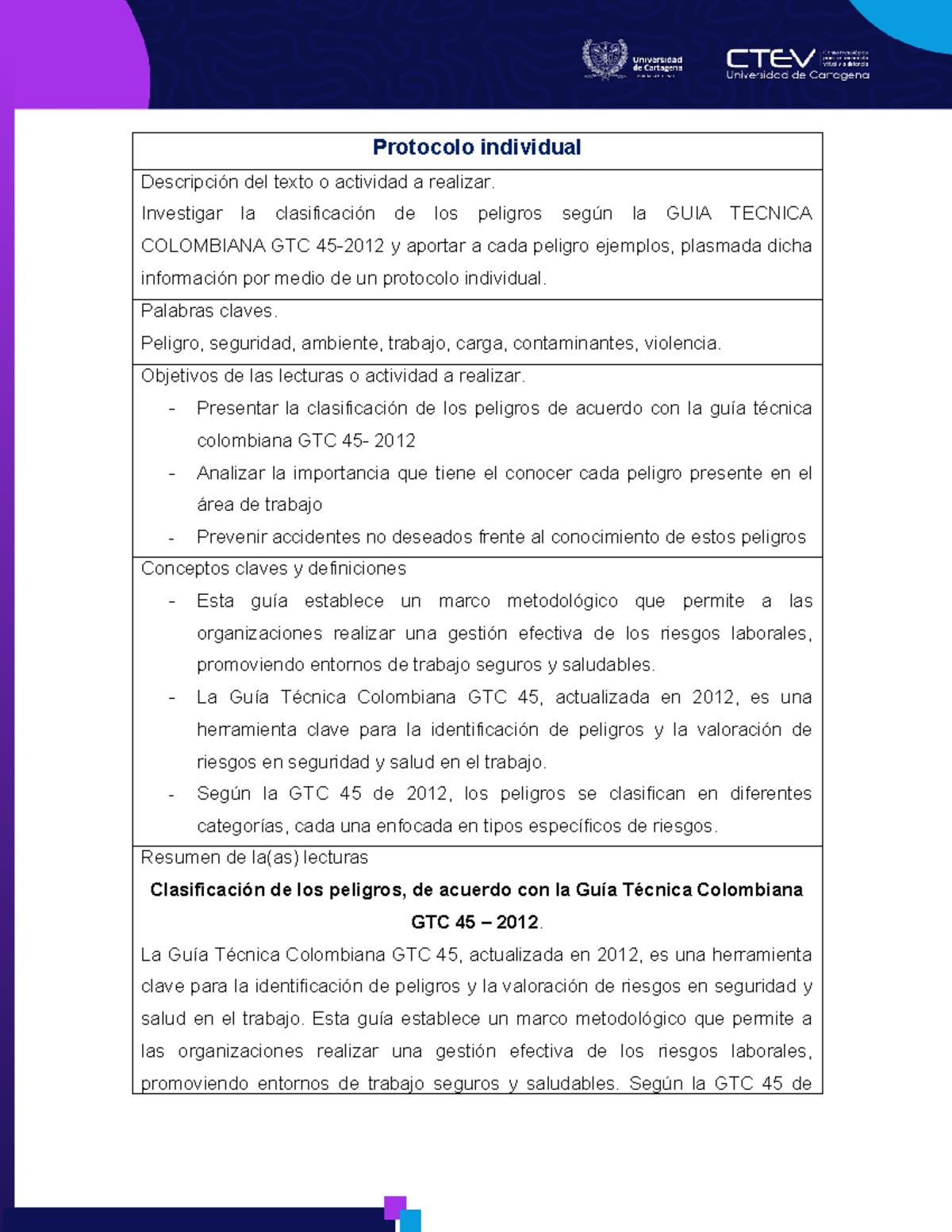 Plantilla Protocolo Individual - seguridad docx - Protocolo individual Descripción del texto o ...