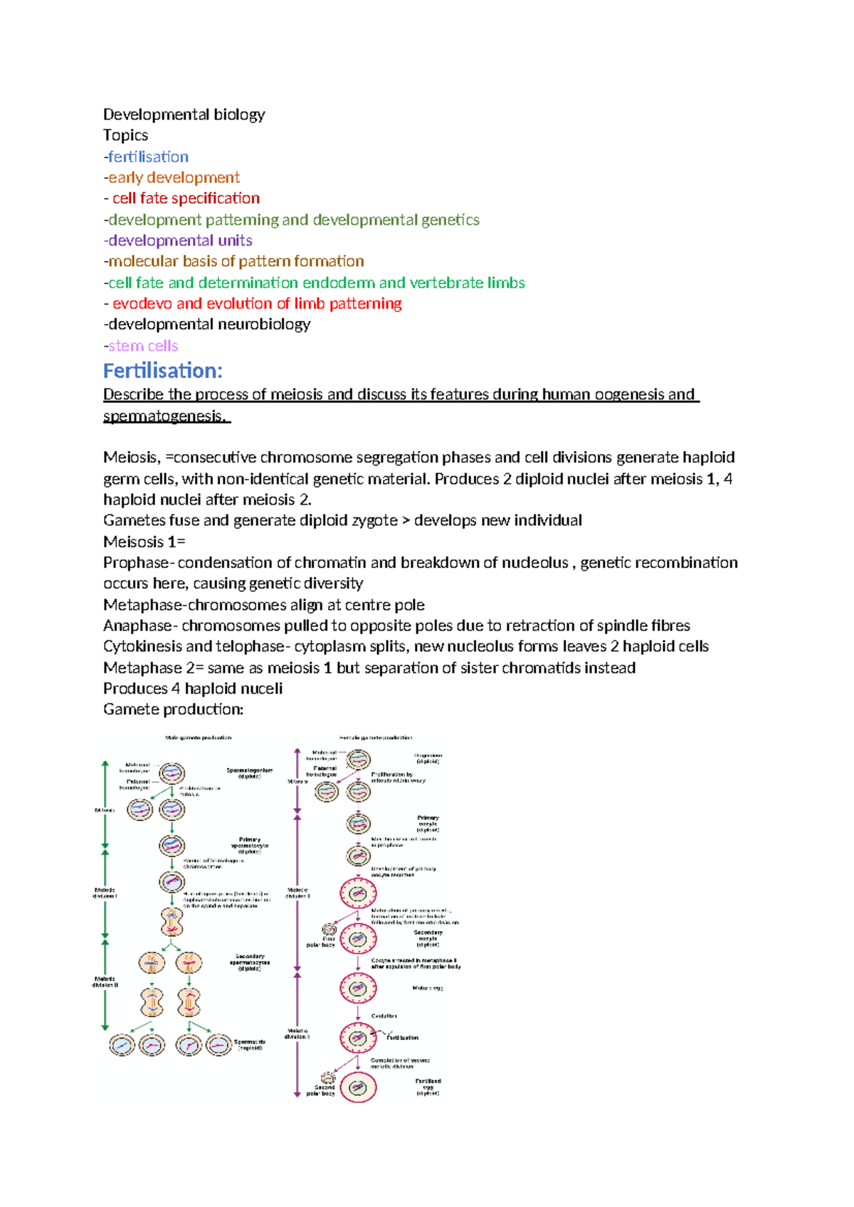 Developmental biology - Developmental biology Topics - fertilisation ...