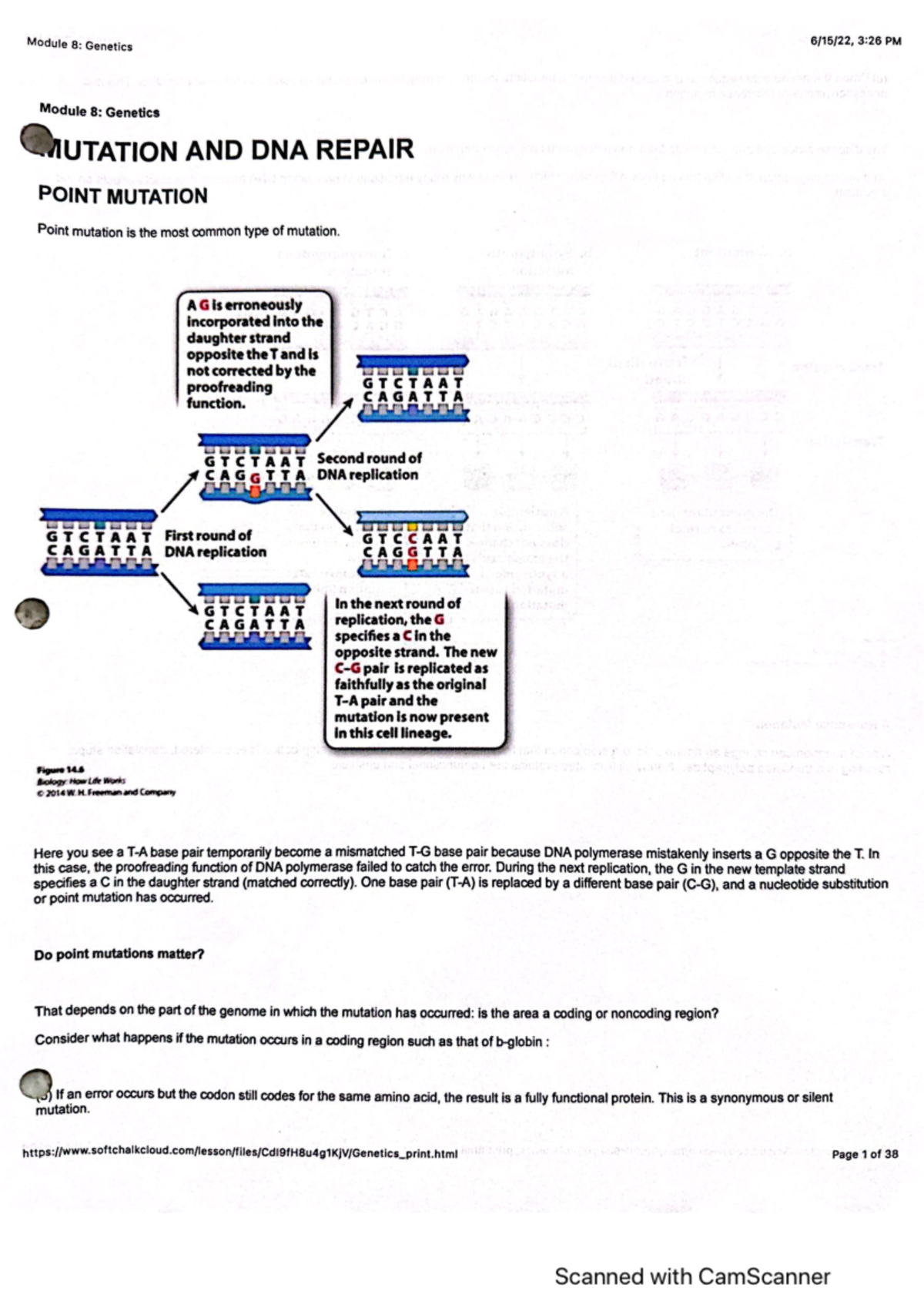 genetics summary 1 - BIO 1204 - Studocu